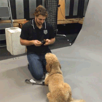 Spacer GIFs - Get the best gif on GIFER