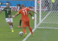 Belgium GIFs - Get the best gif on GIFER