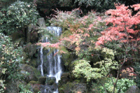 Garden GIFs - Get the best gif on GIFER