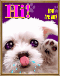 Hi GIFs - Get the best gif on GIFER