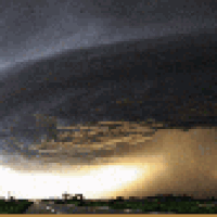 Resilience GIFs - Get the best gif on GIFER