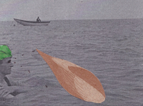 Gifmadebyfloor GIFs - Get the best gif on GIFER