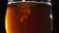 Beer GIFs - Get the best gif on GIFER