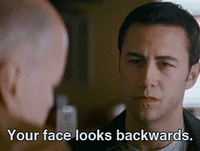 Fur GIFs - Get the best gif on GIFER