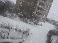 Curved GIFs - Get the best gif on GIFER