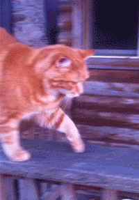 Ranch GIFs - Get the best gif on GIFER