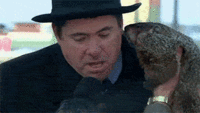 Groundhog GIFs - Get the best gif on GIFER