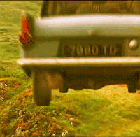 Hedwig GIFs - Get the best gif on GIFER