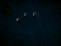 Goosebumps GIFs - Get the best gif on GIFER