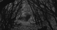 Cave GIFs - Get the best gif on GIFER