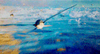 Fisch GIFs - Get the best gif on GIFER