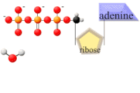 Atp GIFs - Get the best gif on GIFER