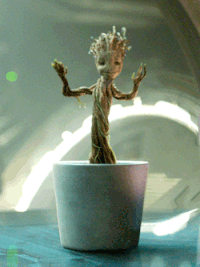 Groot GIFs - Get the best gif on GIFER