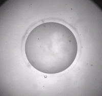 Fluid motion GIFs - Get the best gif on GIFER