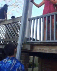 Rot GIFs - Get the best gif on GIFER