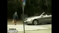 Airbag GIFs - Get the best gif on GIFER