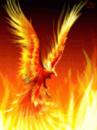 Phoenix GIFs - Get the best gif on GIFER