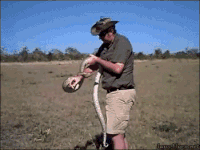 Reflexes GIFs - Get the best gif on GIFER