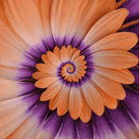 Botany GIFs - Get the best gif on GIFER