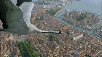 Flight GIFs - Get the best gif on GIFER