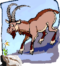 Chevre GIFs - Get the best gif on GIFER