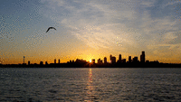 Takeoff GIFs - Get the best gif on GIFER