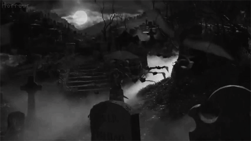 Chauve souris GIFs - Get the best gif on GIFER