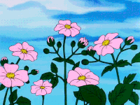 Dbgraphics GIFs - Get the best gif on GIFER