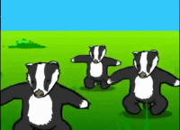 Badger GIFs - Get the best gif on GIFER