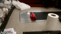 Fanta GIFs - Get the best gif on GIFER