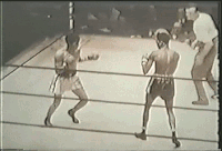 Sugar ray GIFs - Obtenez le meilleur gif sur GIFER