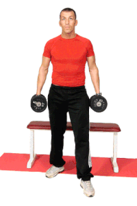 Bicep GIFs - Get the best gif on GIFER