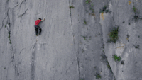 Climbed GIFs - Get the best gif on GIFER