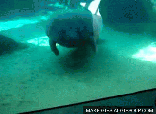 Ooof GIFs - Get the best gif on GIFER