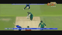 Pakistan GIFs - Get the best gif on GIFER