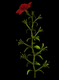 Platform GIFs - Get the best gif on GIFER