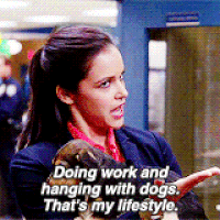 Continuous GIF - Conseguir o melhor gif em GIFER