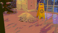 Mops GIFs - Get the best gif on GIFER