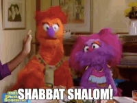 Shabbat GIFs - Get the best gif on GIFER