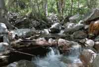 Hike GIFs - Get the best gif on GIFER