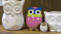 Container GIFs - Get the best gif on GIFER