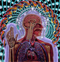 Medical GIFs - Get the best gif on GIFER