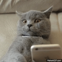 Salud GIFs - Get the best gif on GIFER