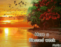 Blessed GIFs - Get the best gif on GIFER