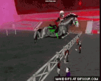 Heritage GIFs - Get the best gif on GIFER
