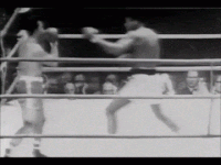 Boxing GIFs - Get the best gif on GIFER