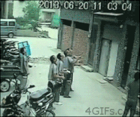 Courier GIFs - Get the best gif on GIFER