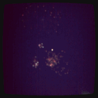 Giffer GIFs - Get the best gif on GIFER