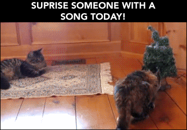Basalt GIFs - Get the best gif on GIFER