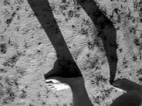 Shadows GIFs - Get the best gif on GIFER